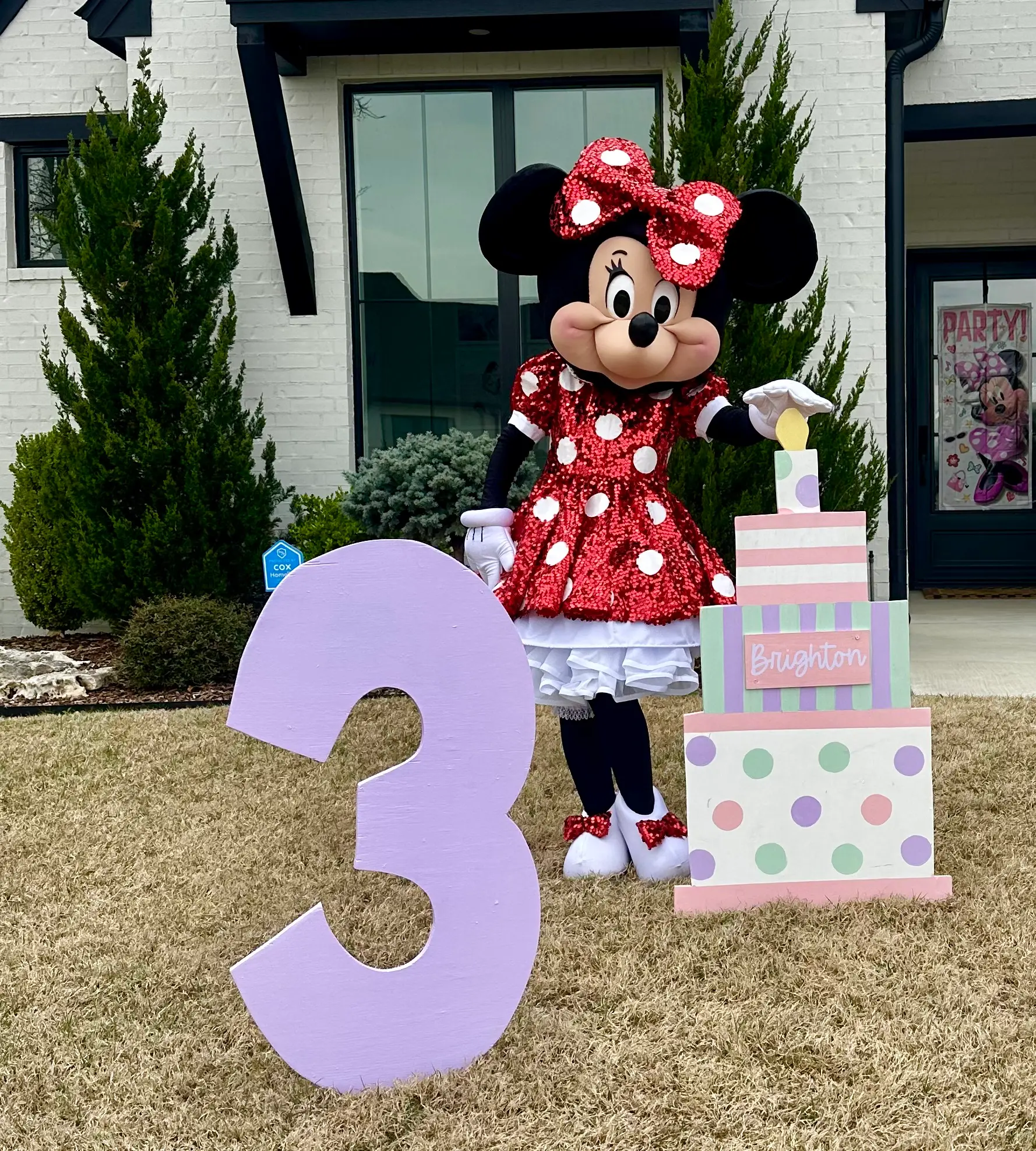 Create Memorable Moments with Mascot Mouse - BISON PARTY RENTAL